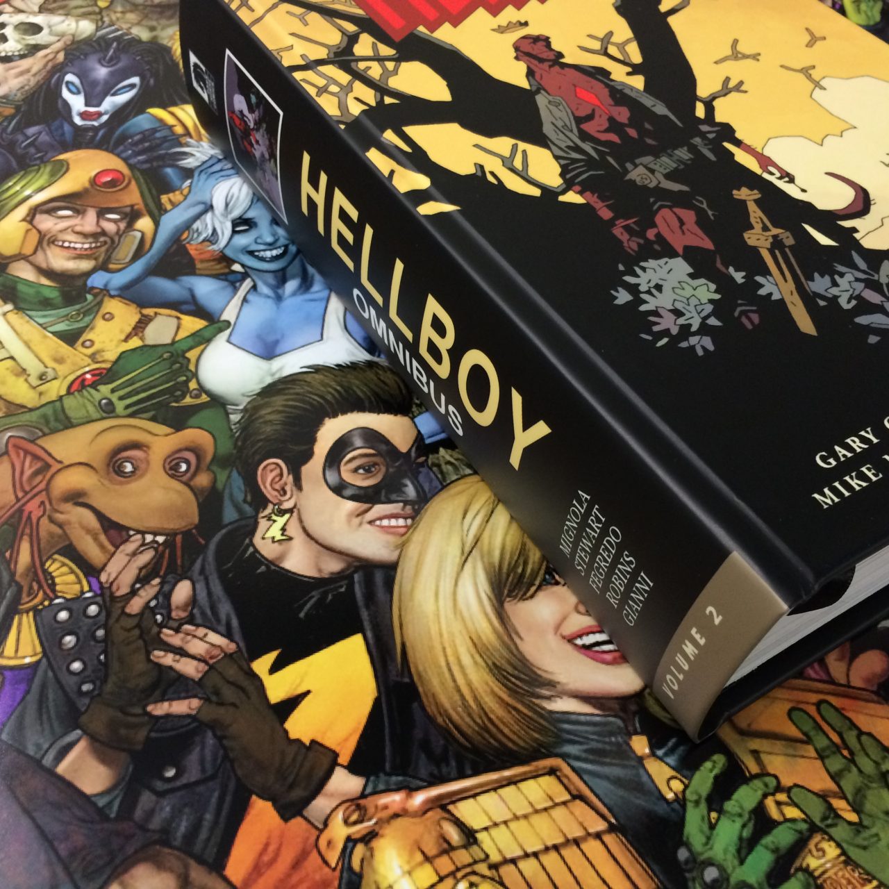 Comic Book Binding | Spink & Thackray